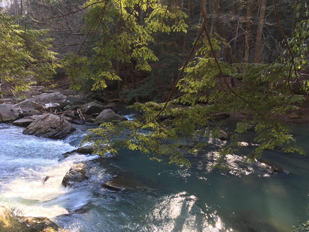 Alabama Environmental Council – Recycling, Education and Collaboration